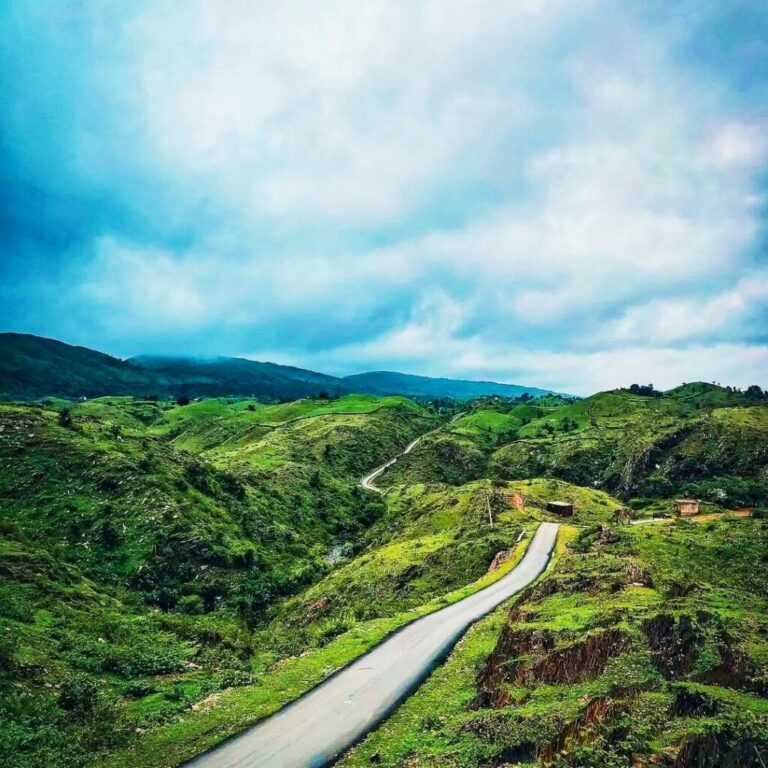 Rayta Hills Udaipur - Photos, Reviews