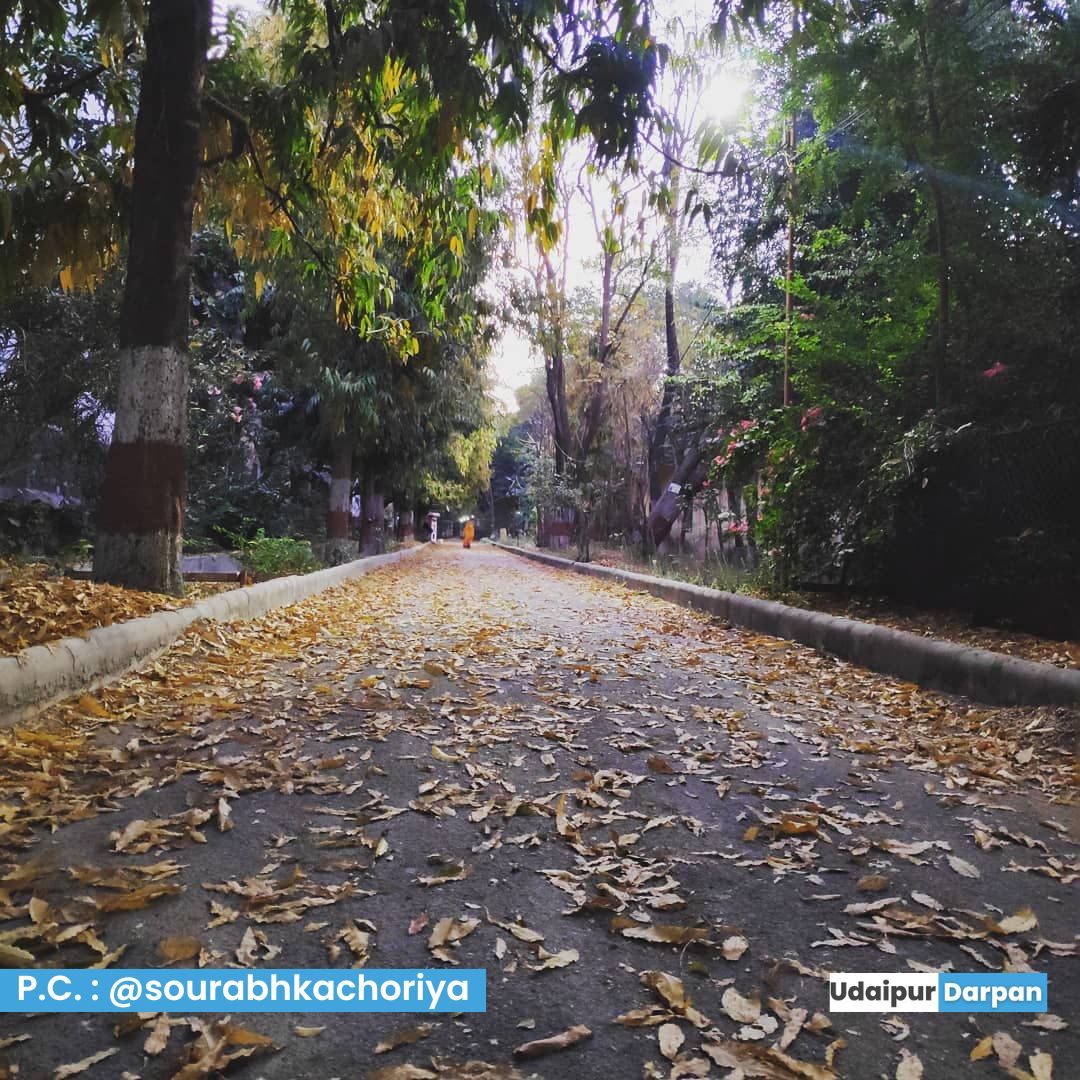 Gulab Bagh Udaipur - Photos, Reviews