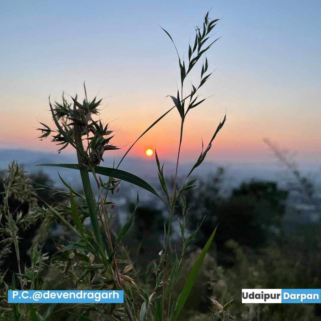 Neemach Mata Temple Udaipur - Photos, Reviews