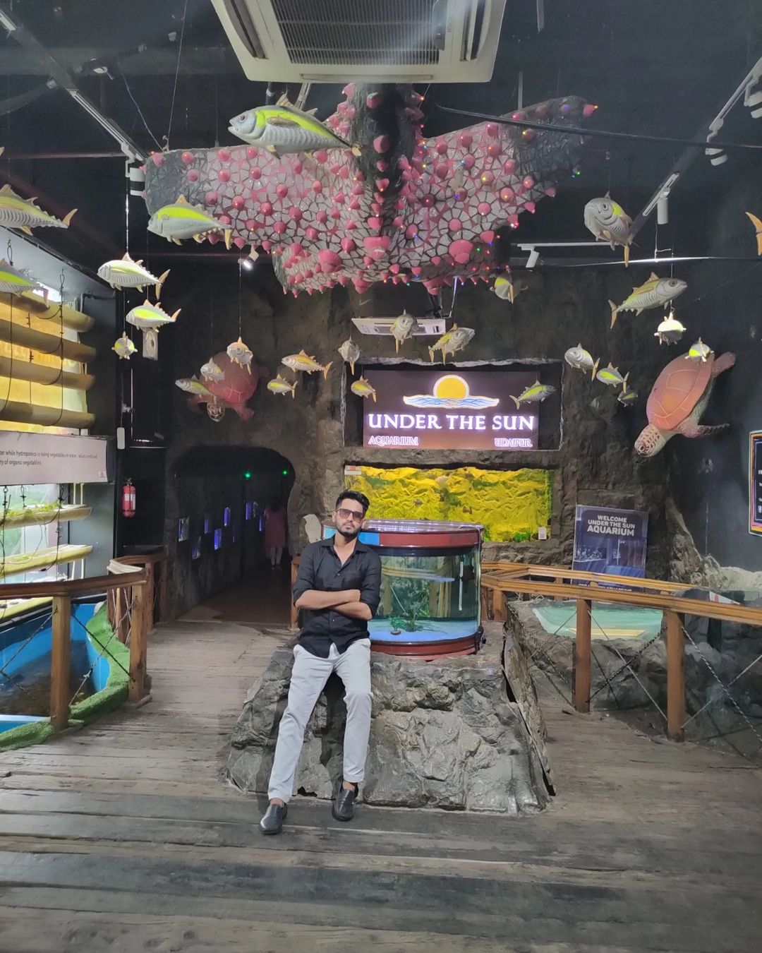 Under The Sun Aquarium: The largest Public Aquarium Gallery